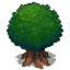 Biomes - Necesse Wiki