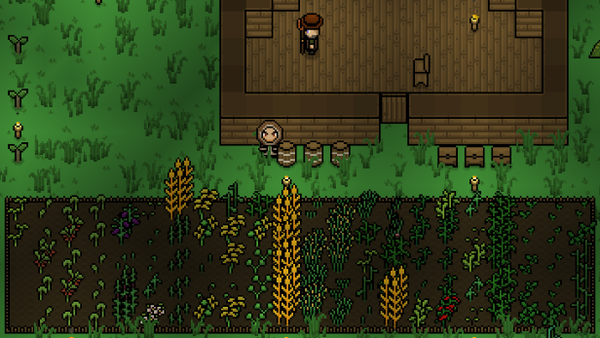 Settlements - Necesse Wiki